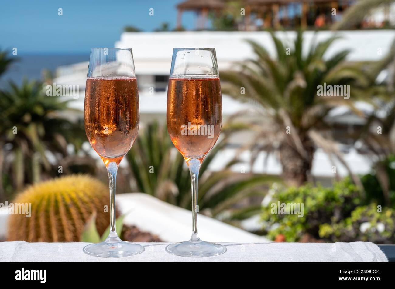 Celebration, birthday party, drinking of rose cava or champagne ...