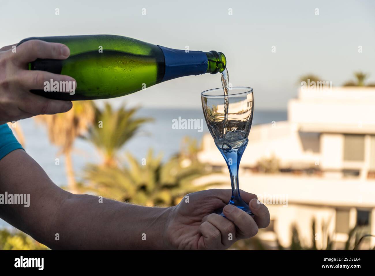 Celebration, birthday party, drinking of cava or champagne sparkling ...