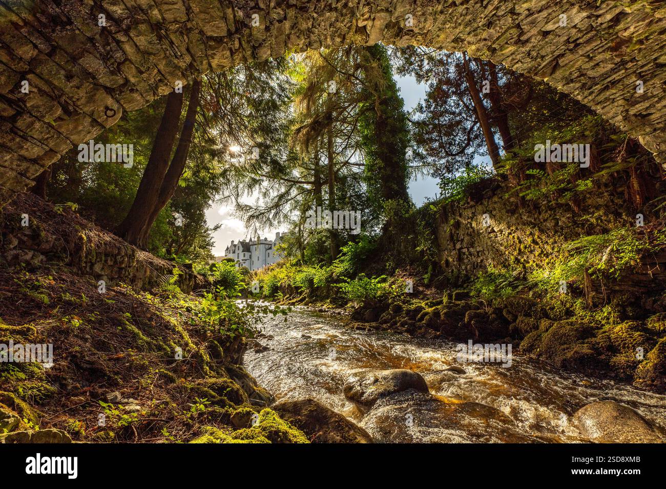Stone Bridge Over Forest Stream With Castle in Background Stock Photo ...