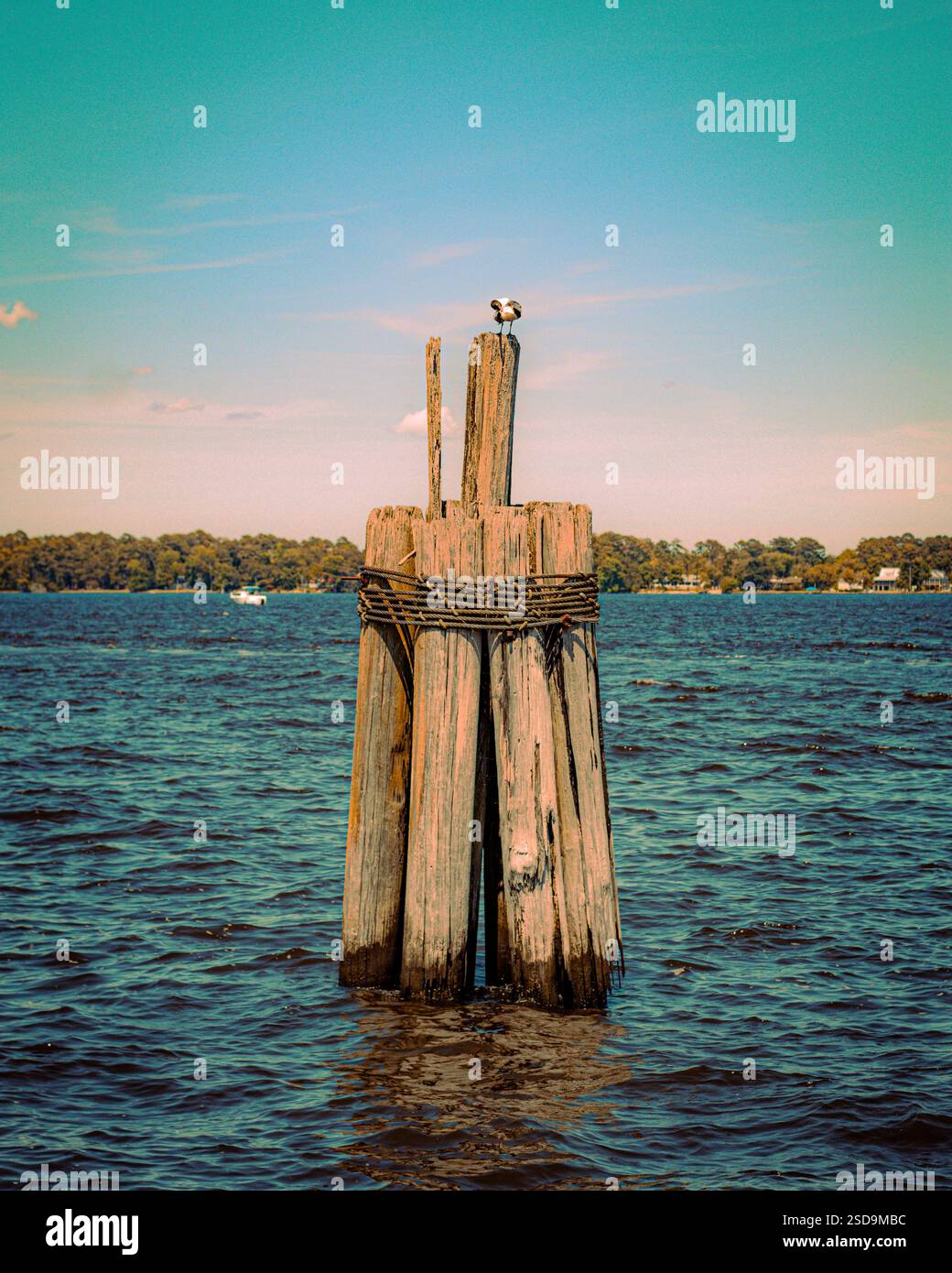 Minimalmist nature hi-res stock photography and images - Alamy