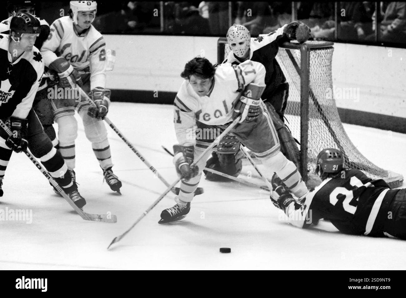 California Golden Seals Ron Huston (11) fighting for puck against ...