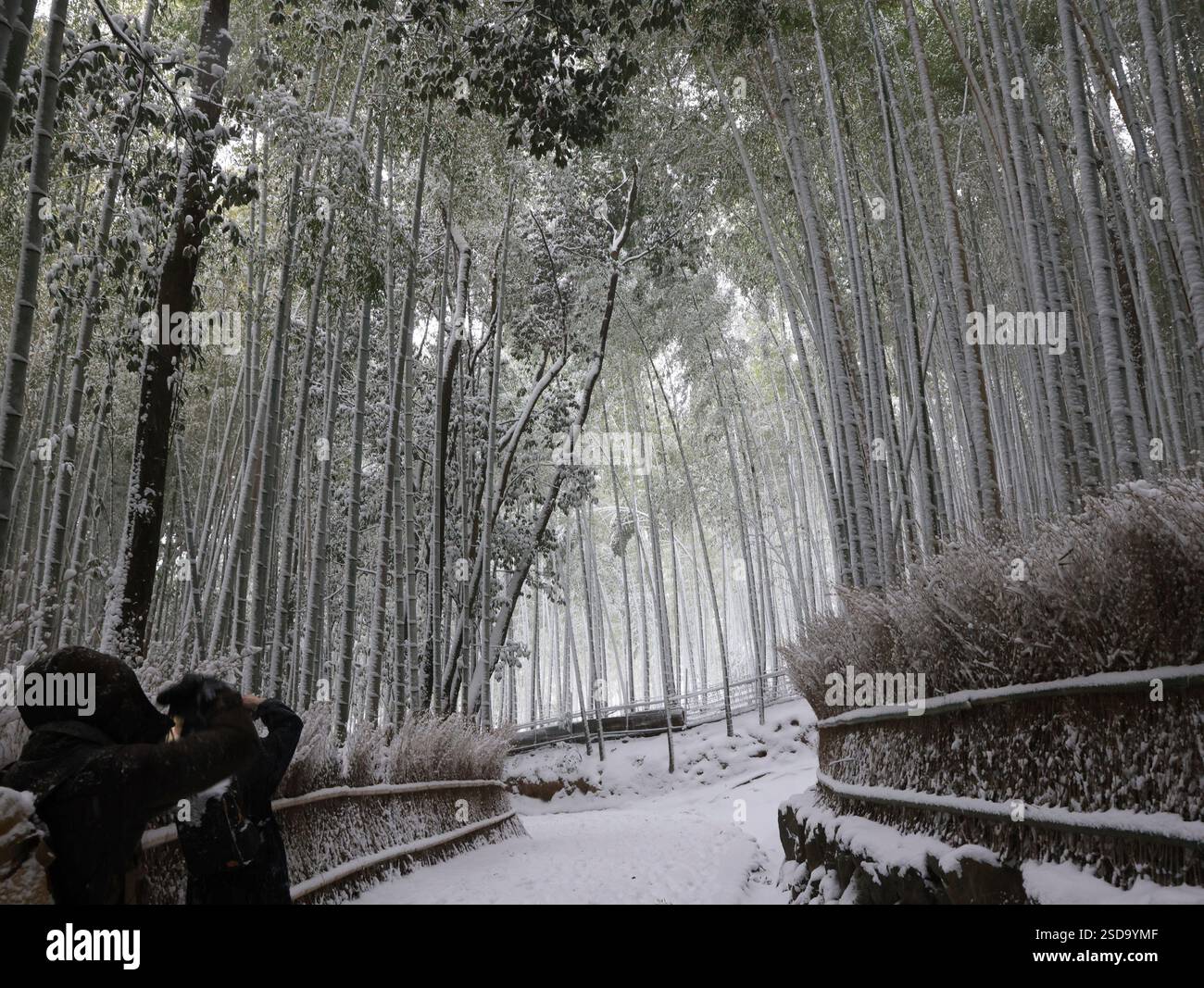 Kyoto city covered in snow due to cold wave is seen on February 8, 2025 ...