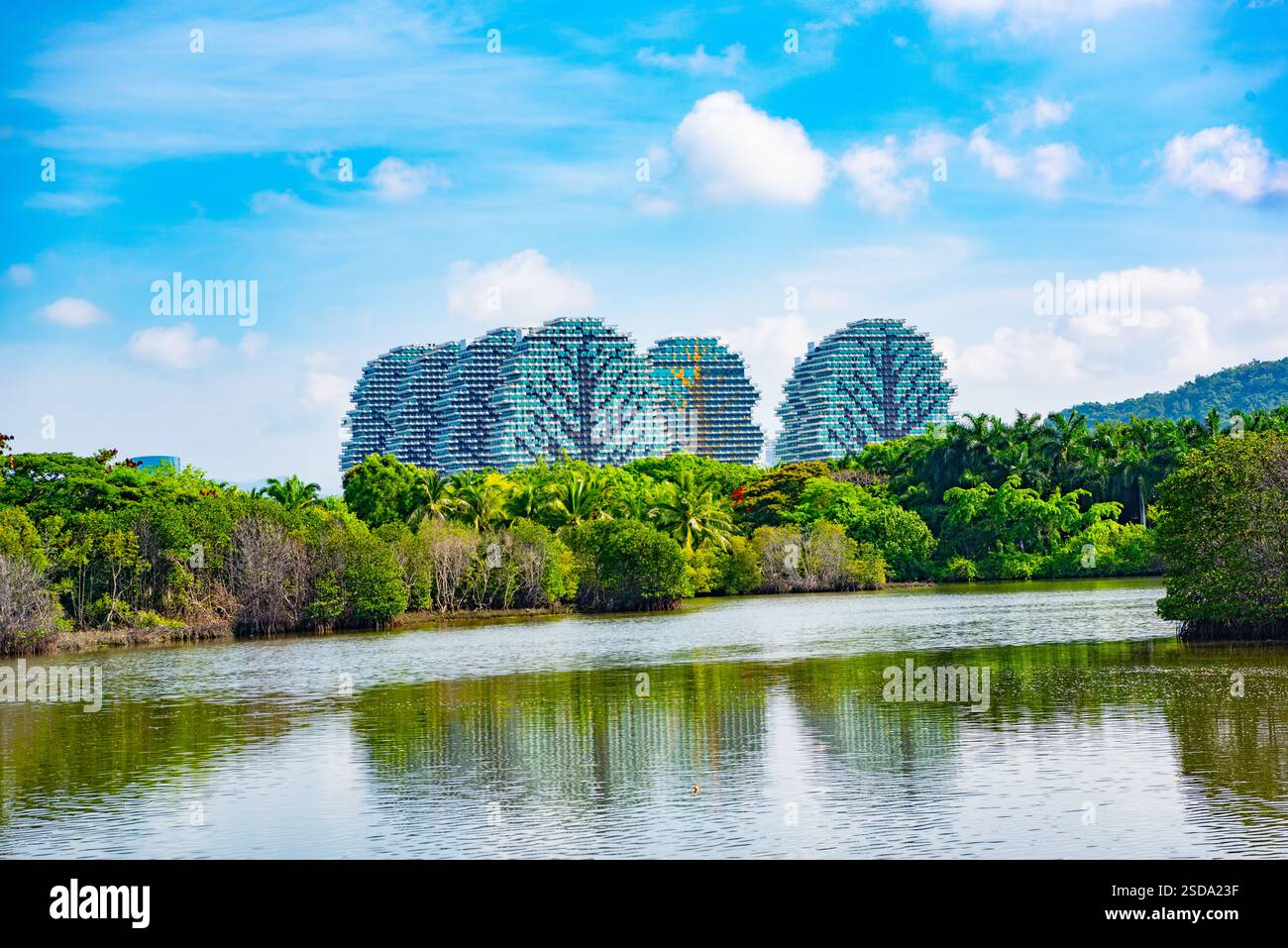 View the Big Tree Mansion at Linchun River Park in Sanya, Hainan Stock ...