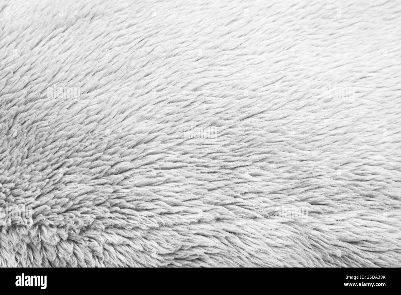 White fluffy fur fabric wool texture background Stock Photo - Alamy