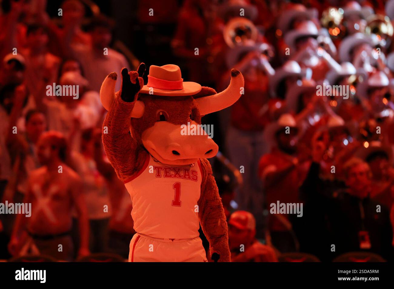 AUSTIN, TX - FEBRUARY 05: Hook 'Em the mascot holds the Horns Up sign ...