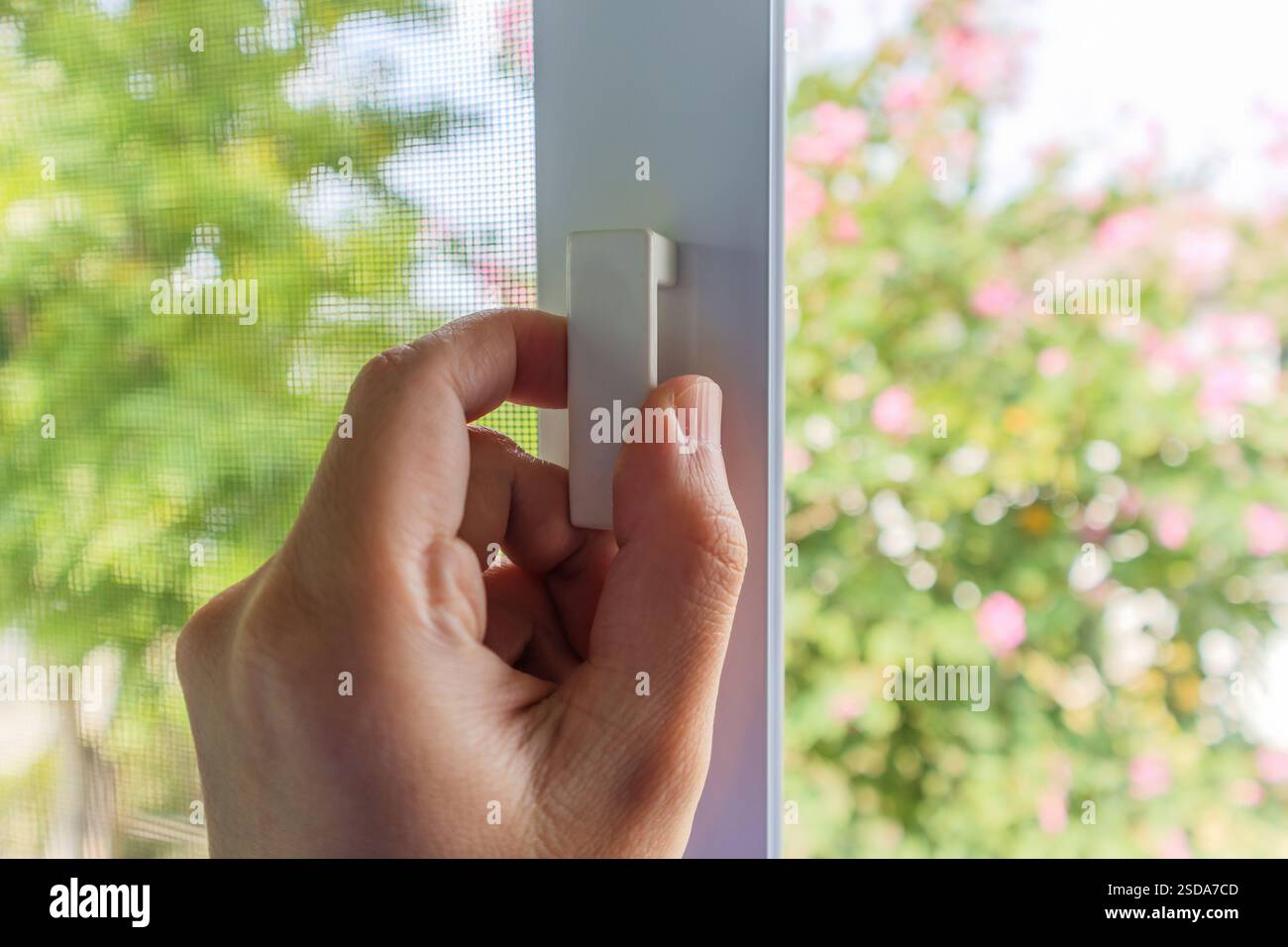 Hand hold mosquito net wire screen handle on house window Stock Photo ...