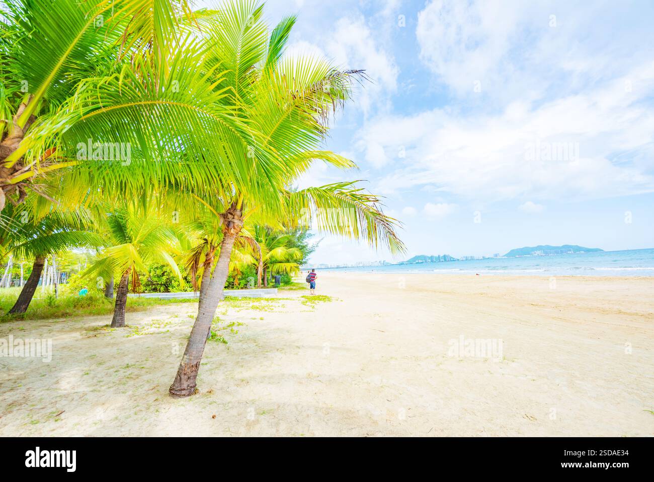 Coconut dream corridor hi-res stock photography and images - Alamy