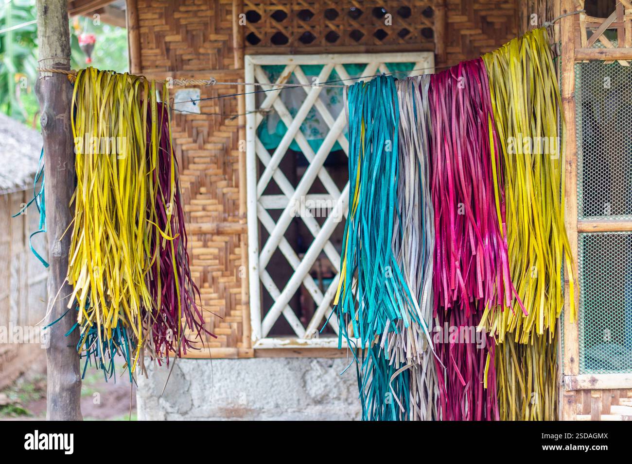 Mat weaving using pandanus leaves is an important traditional ...