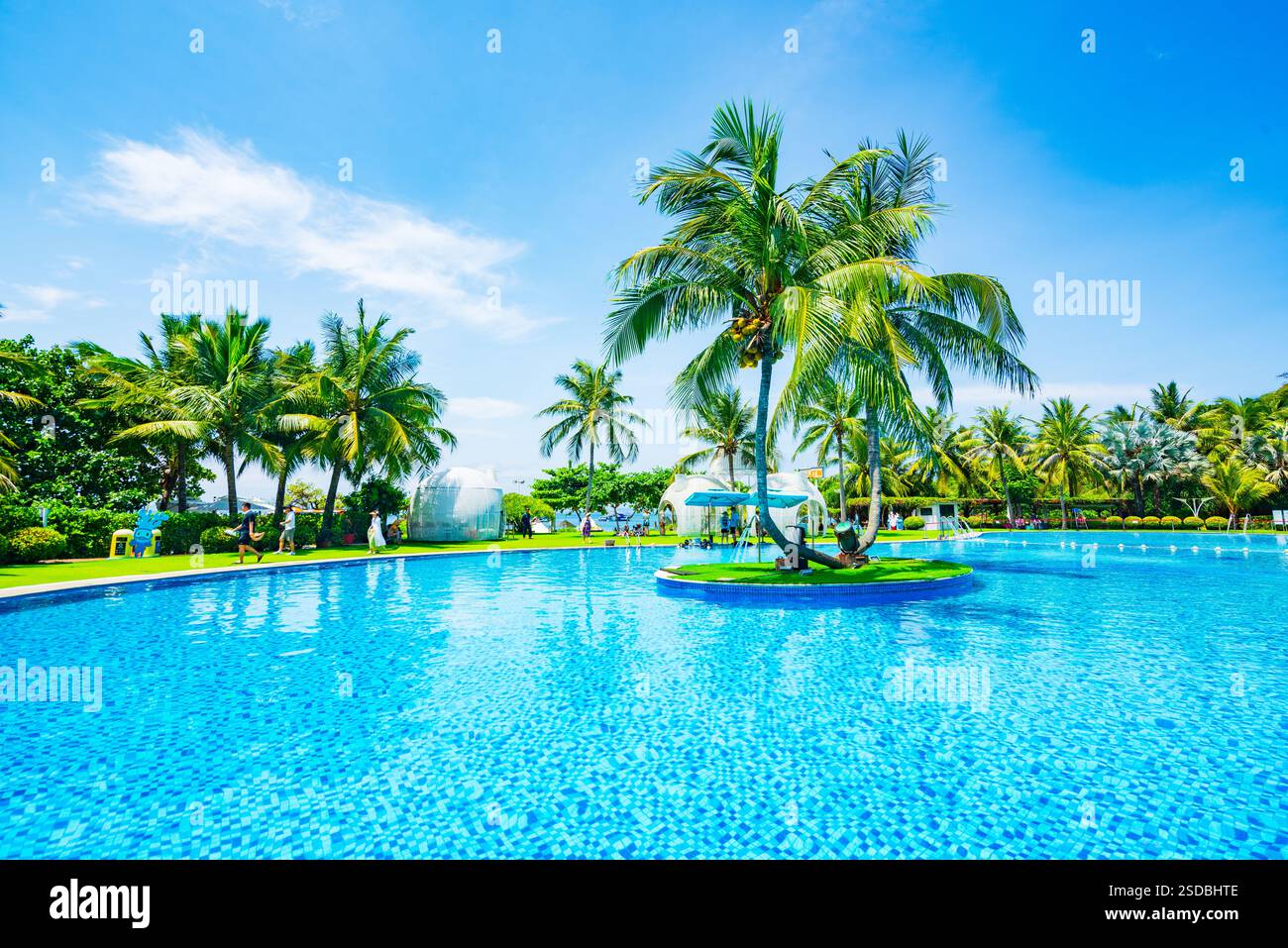 Swimming pool and coconut trees on Wuzhizhou Island, Sanya, Hainan ...