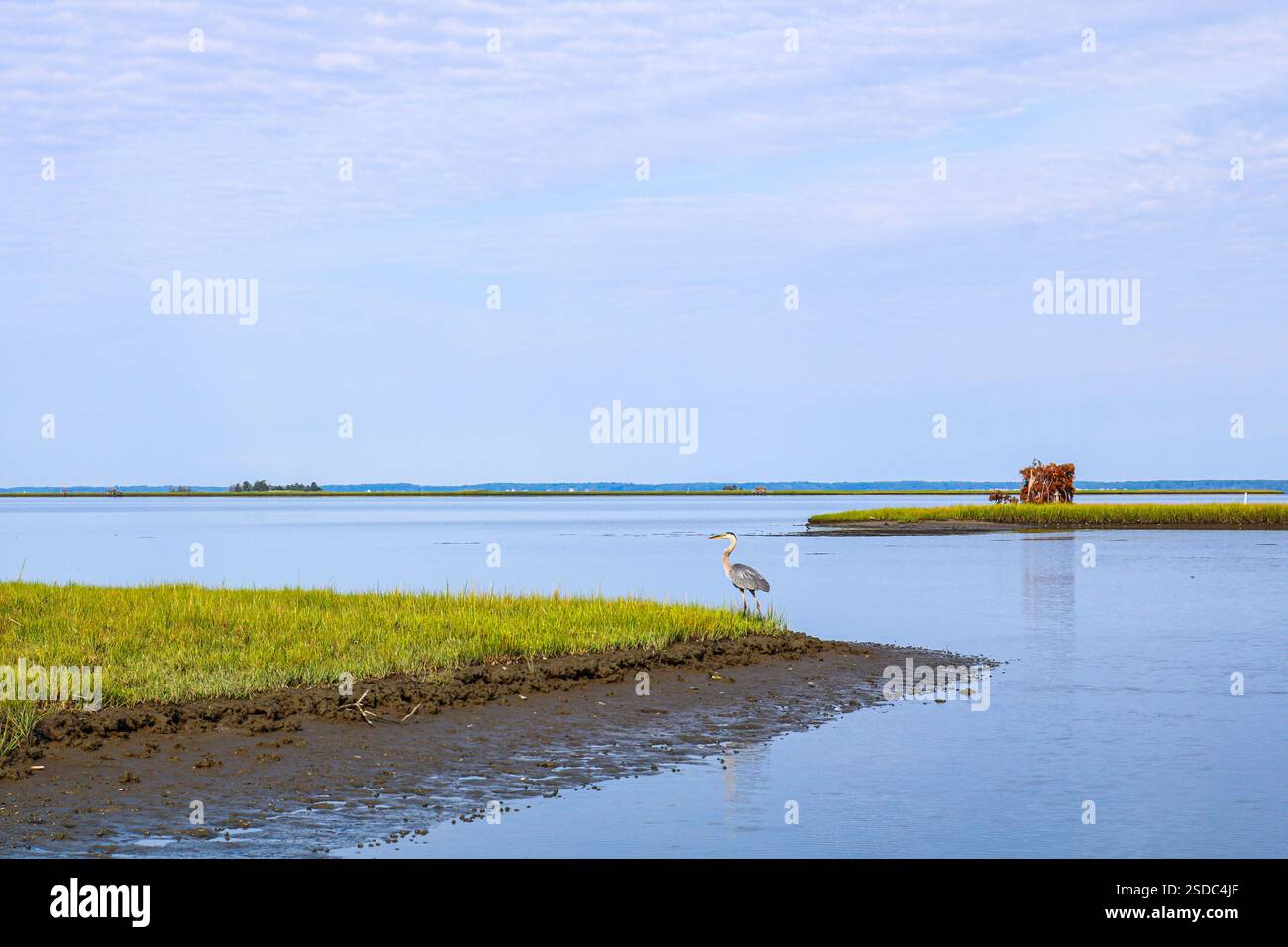 Chincoteague island view hi-res stock photography and images - Alamy