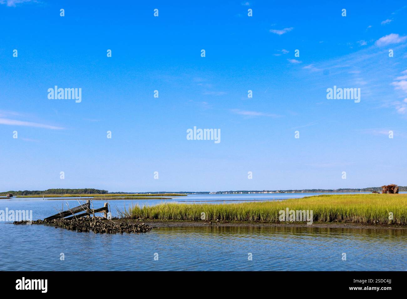 Chincoteague island view hi-res stock photography and images - Alamy