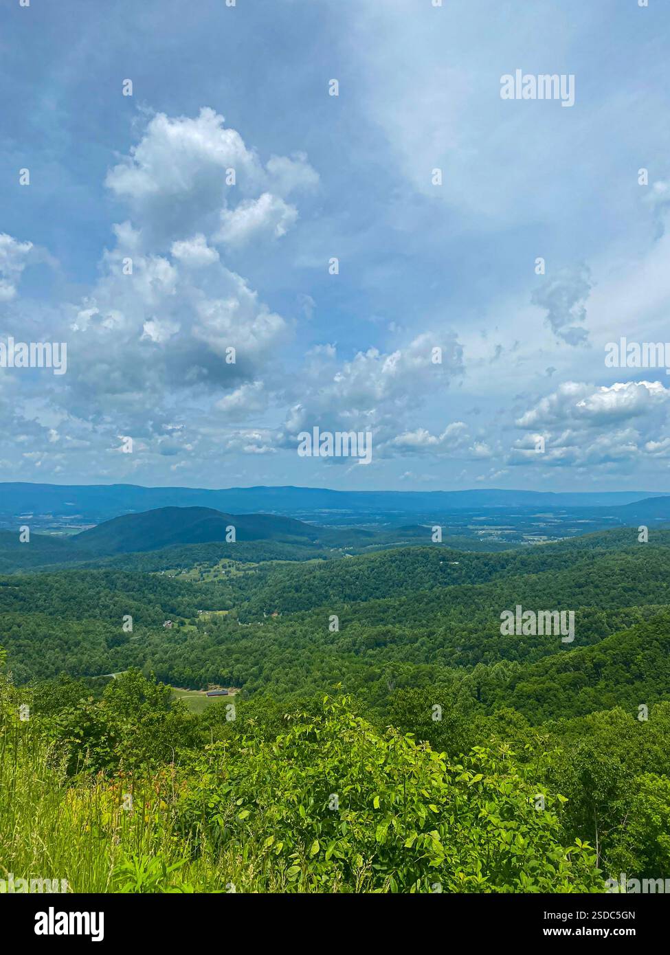 Canopy overlook hi-res stock photography and images - Alamy