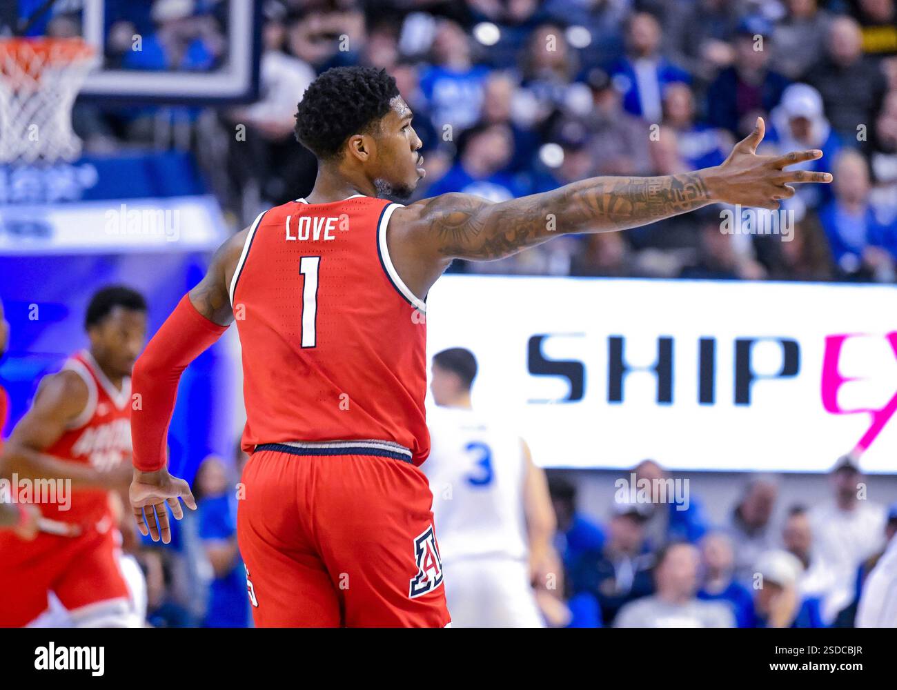 PROVO, UT - February 04: Arizona Wildcats guard Caleb Love (1) points ...