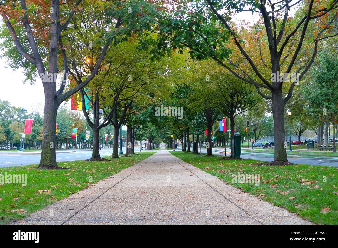 Lush trees and decorative banners line a city path in autumn Stock ...