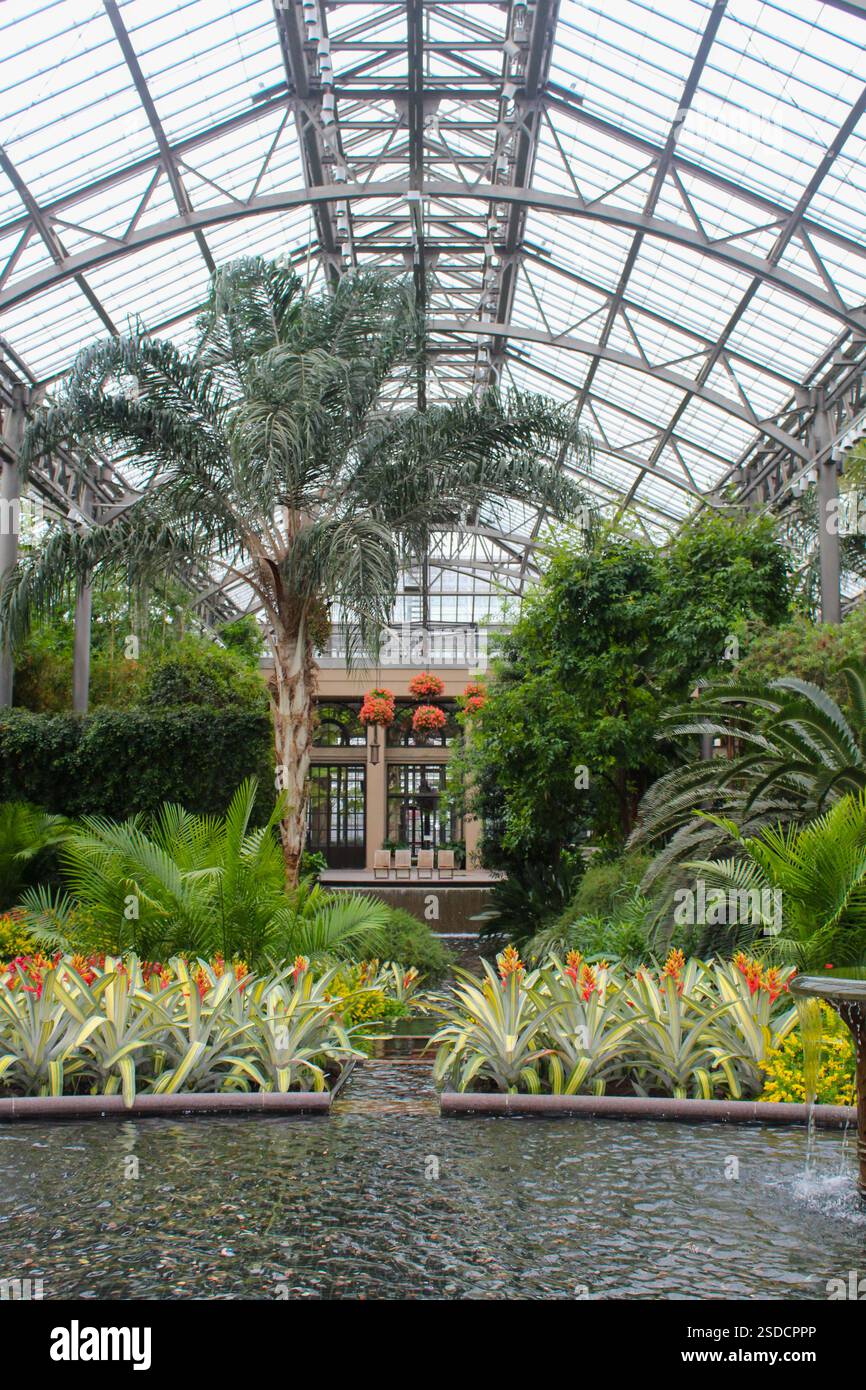 Tropical plants and flowers flourish in a scenic greenhouse Stock Photo ...