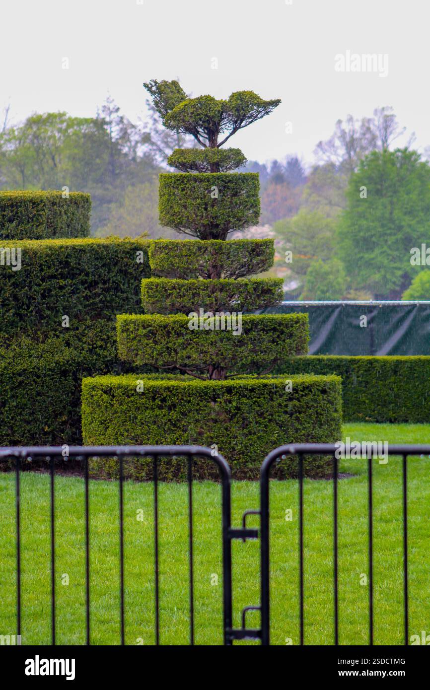 Tall hedges form hi-res stock photography and images - Alamy