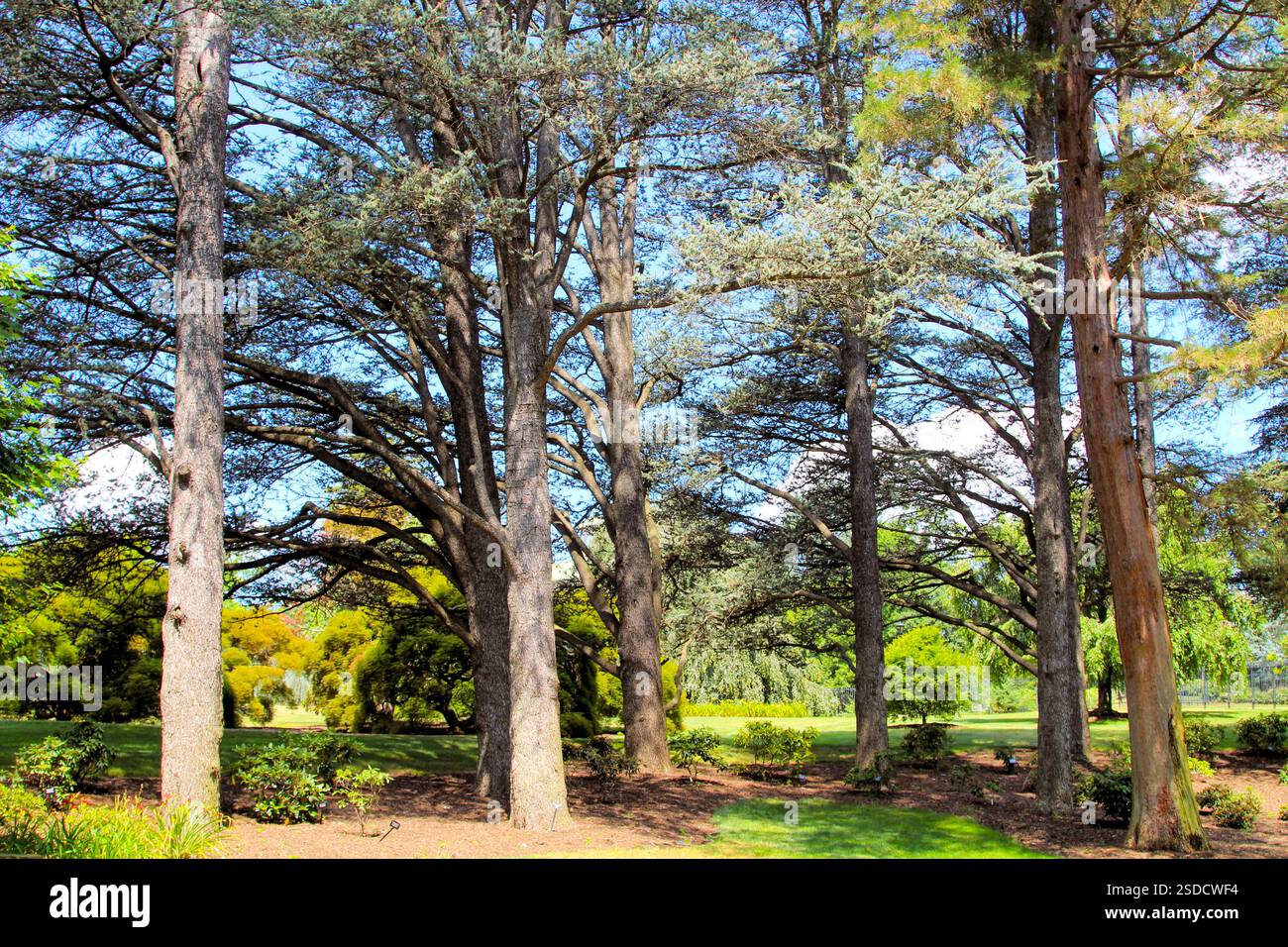 Open spaces create hi-res stock photography and images - Alamy