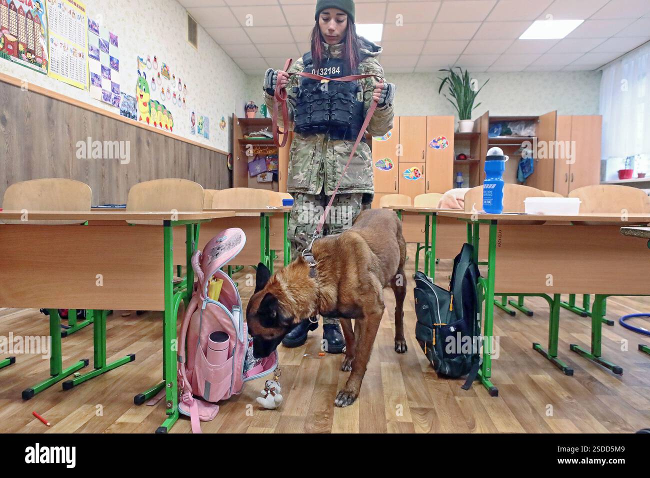 KYIV REGION, UKRAINE - FBRUARY 7, 2025 - Junior inspector - dog handler ...