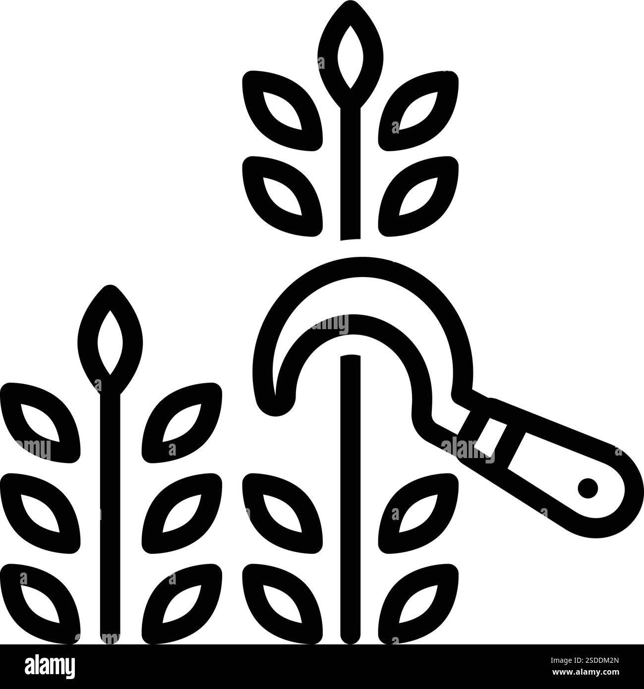 Icon for harvest, reaping Stock Vector Image & Art - Alamy