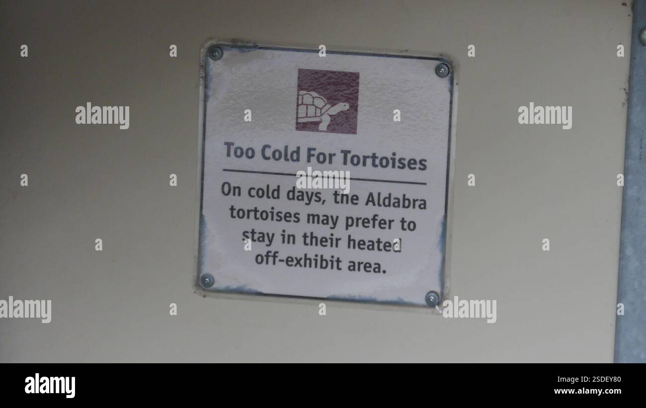 Los Angeles, California, USA 6th February 2025 Too Cold for Tortoises ...