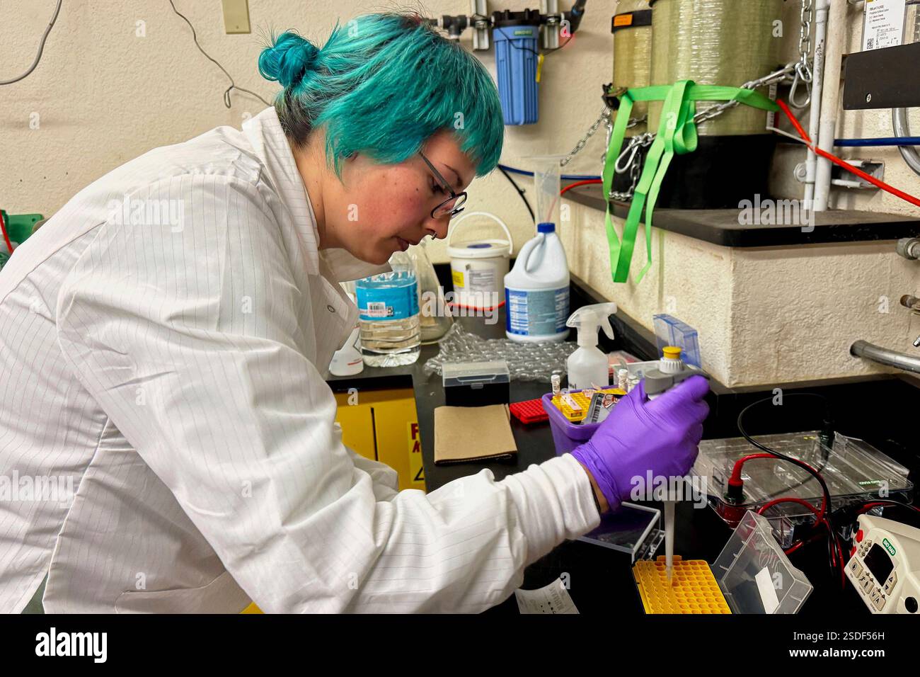 Kendra Dahmer, a postdoctoral researcher studying infectious disease ...