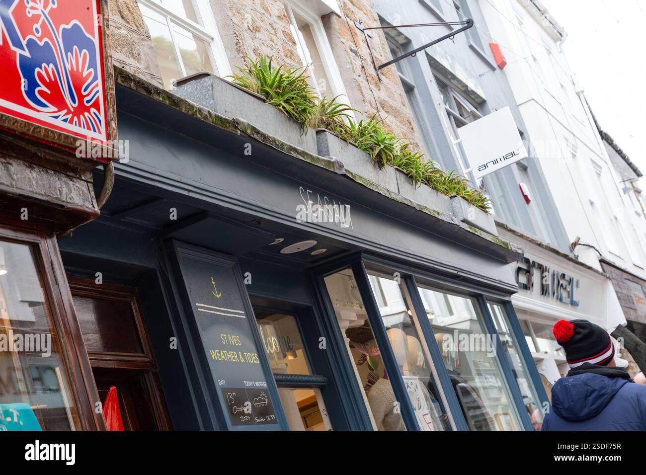 Cornwall UK - October 2024 Stock Photo - Alamy