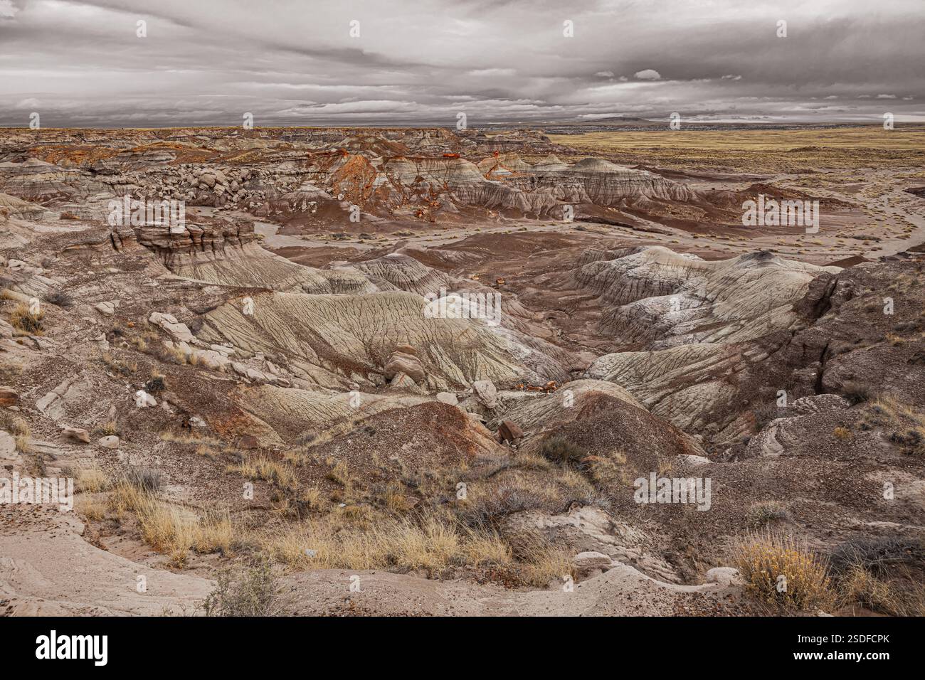 Vivid Striations of Blue Mesa Badlands Stock Photo - Alamy
