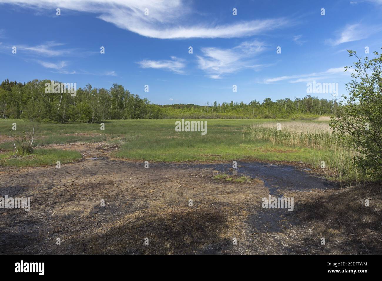 Volcanic active area with mofette. Geological park Soos, Soos National ...