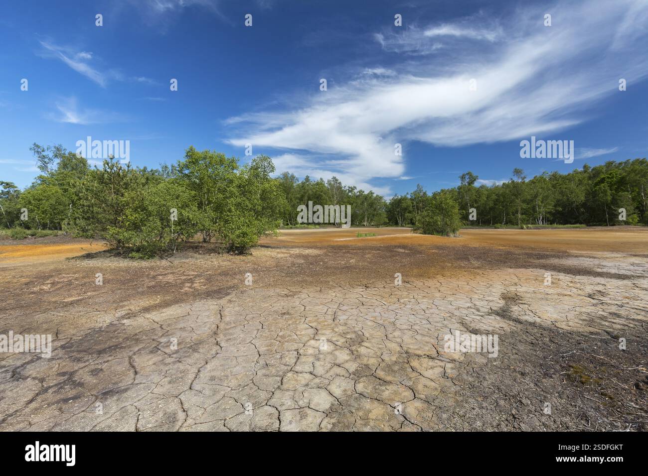 Volcanic active area with mofette. Geological park Soos, Soos National ...