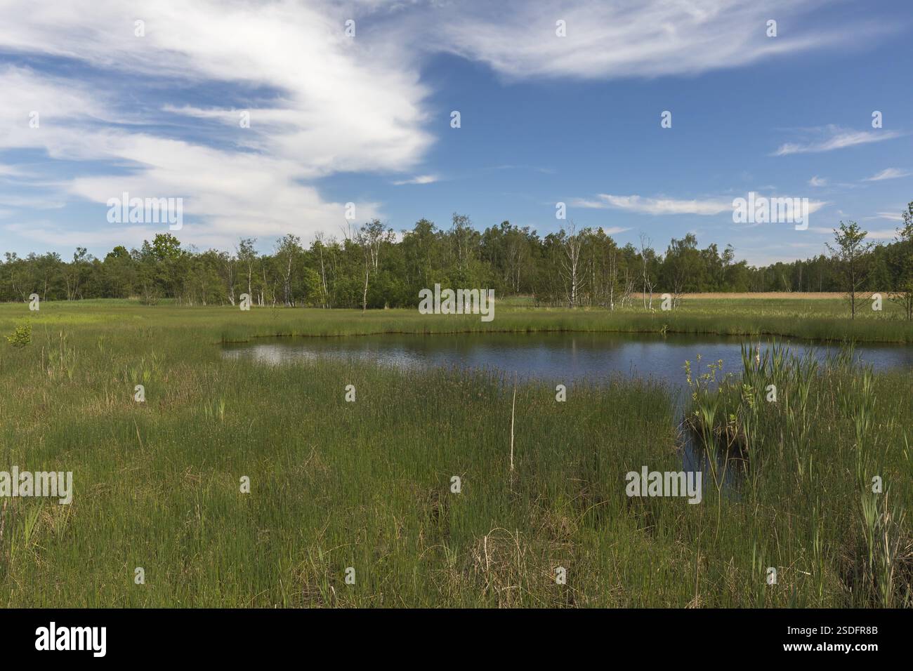 Volcanic active area with mofette. Geological park Soos, Soos National ...