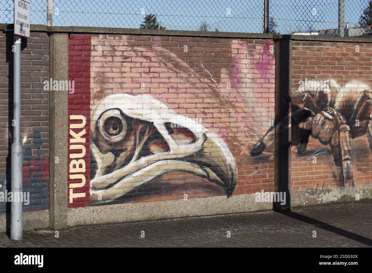 Bird skull and spider, graffiti on a brick wall by street art artist ...
