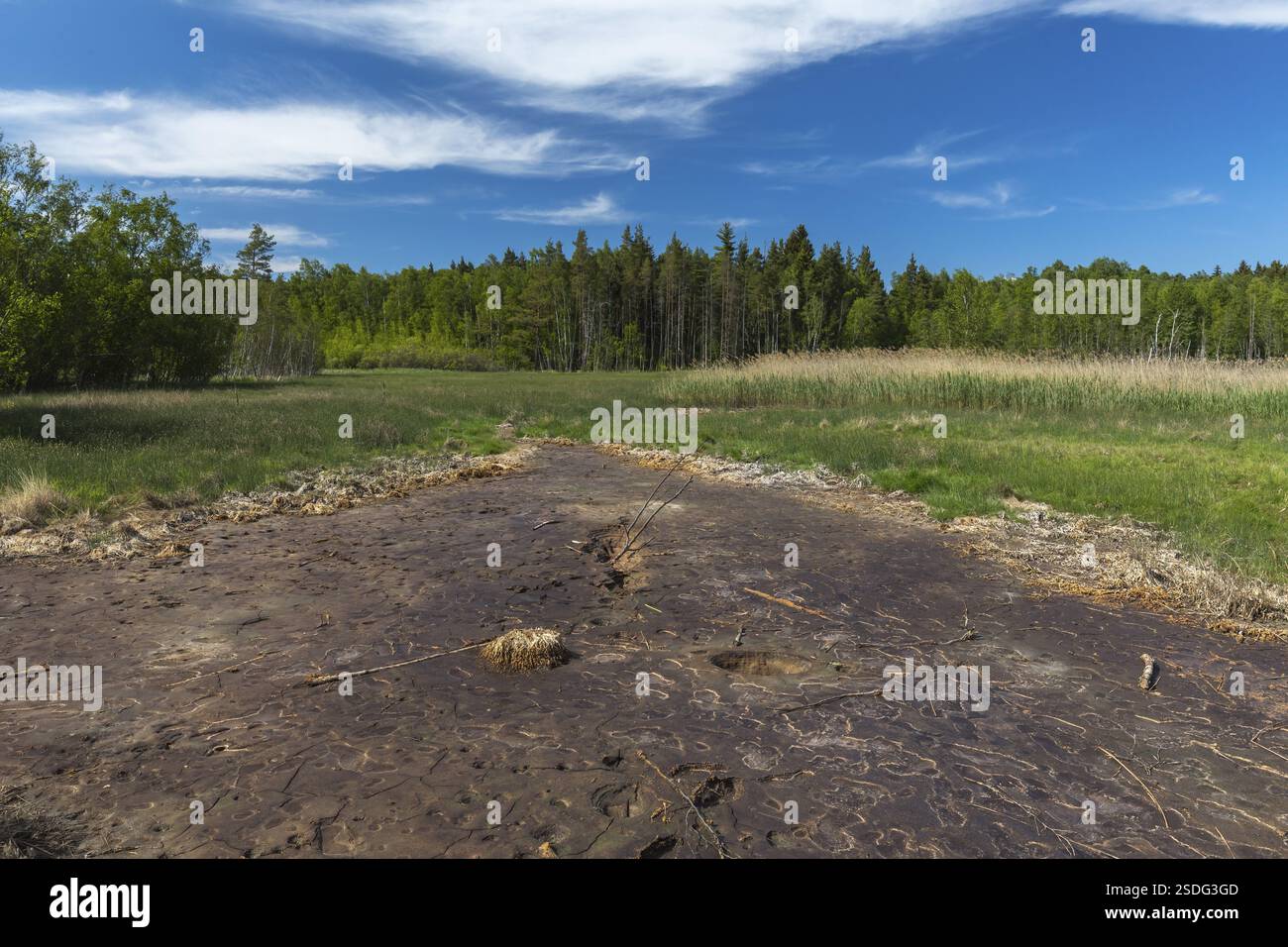 Volcanic active area with mofette. Geological park Soos, Soos National ...