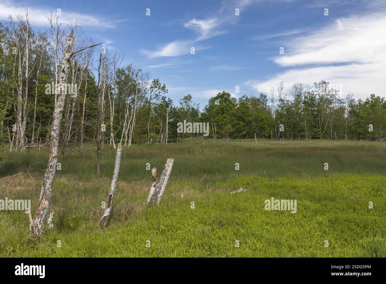 Volcanic active area with mofette. Geological park Soos, Soos National ...