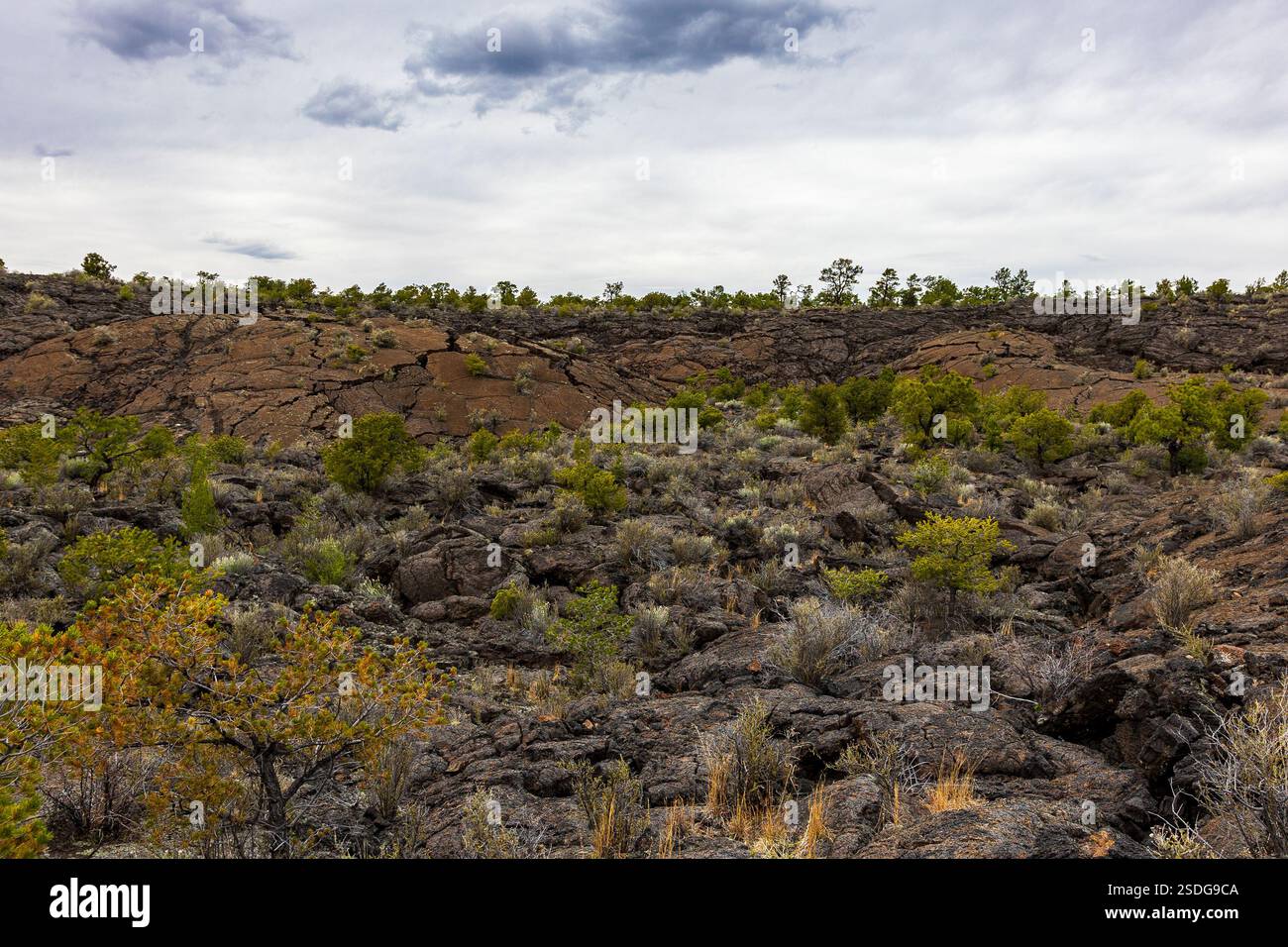 Lava Falls trail on the ancient lava flow at El Malpais National ...