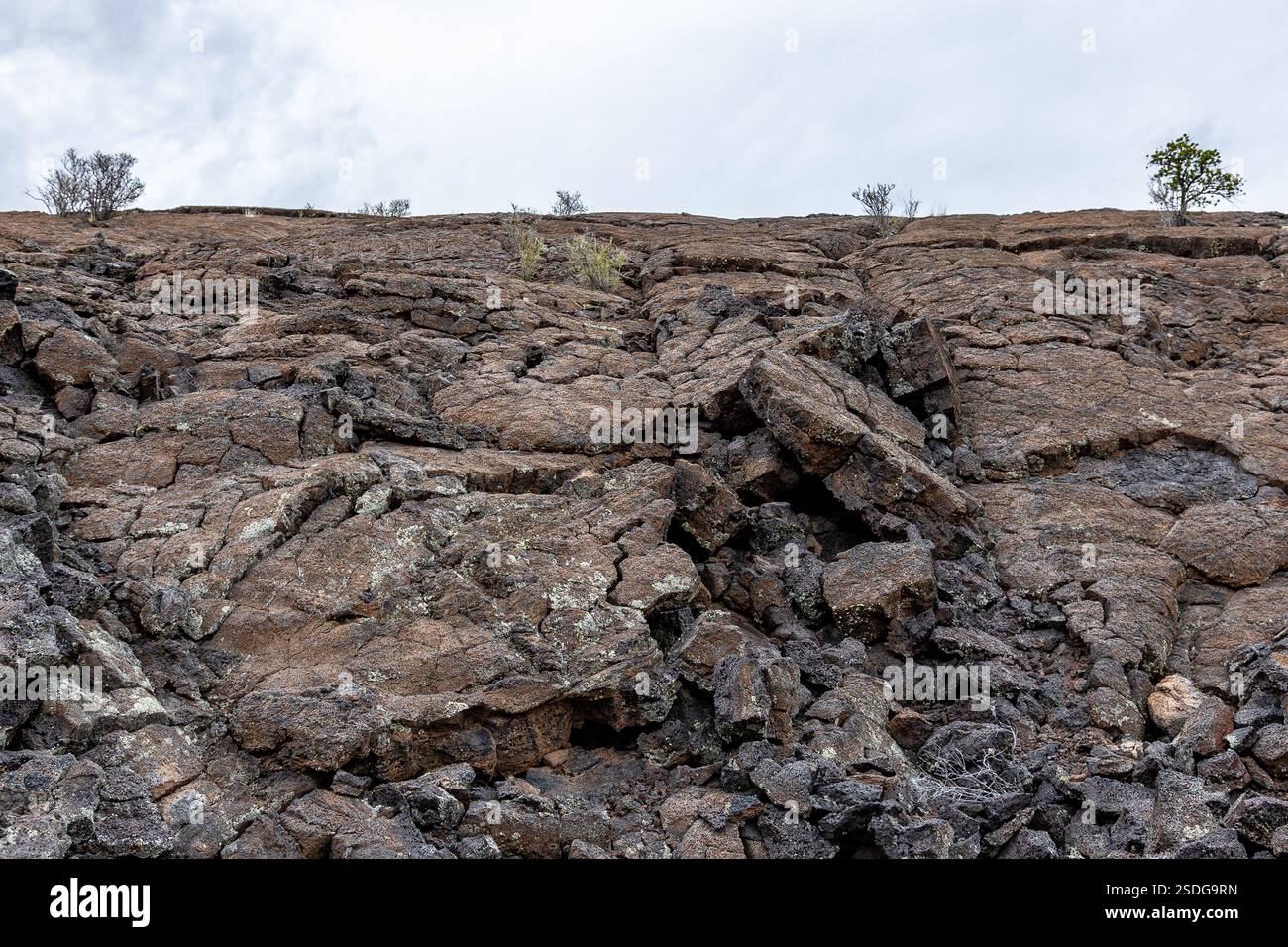 Lava Falls trail on the ancient lava flow at El Malpais National ...