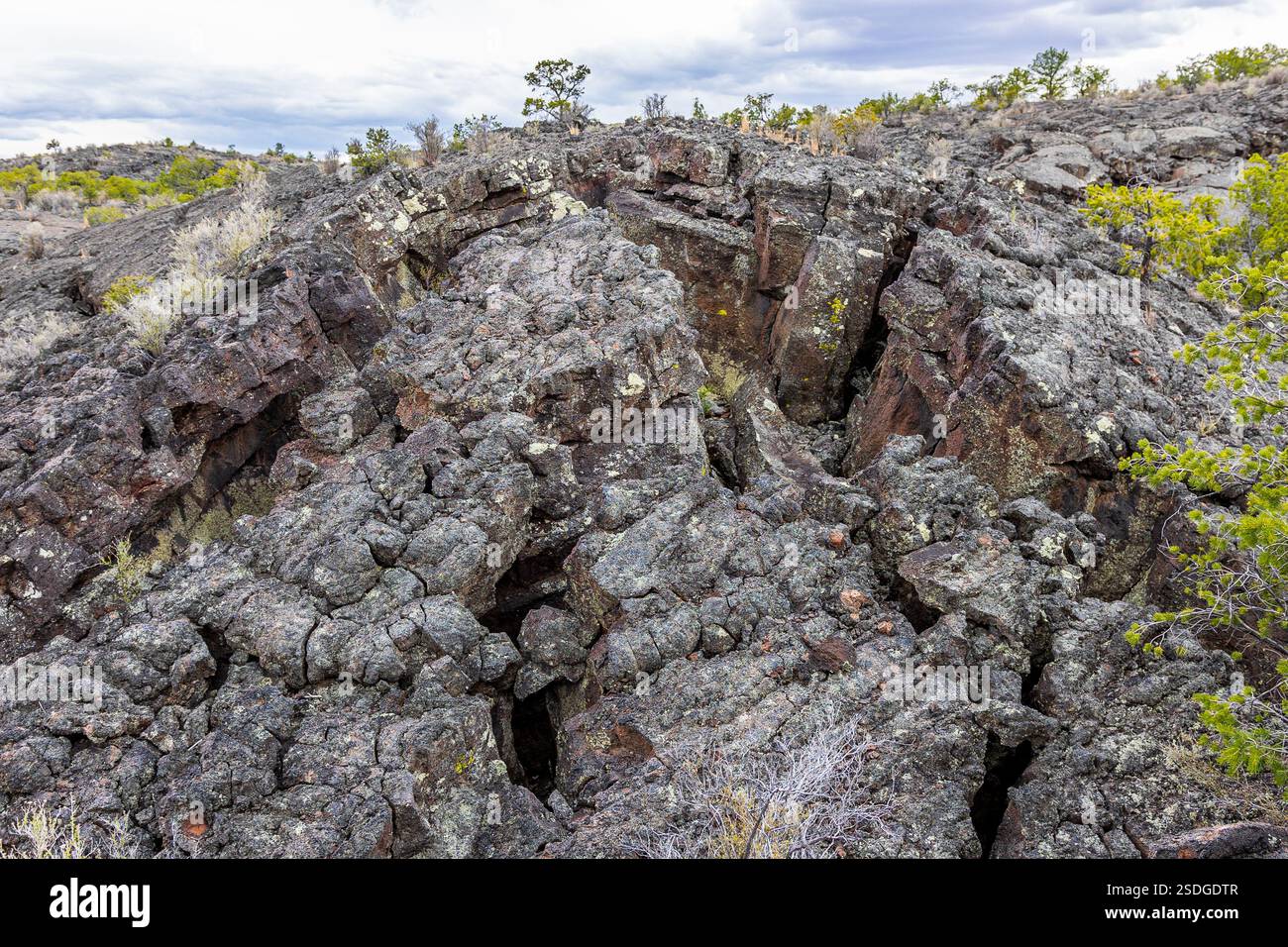 Lava Falls trail on the ancient lava flow at El Malpais National ...