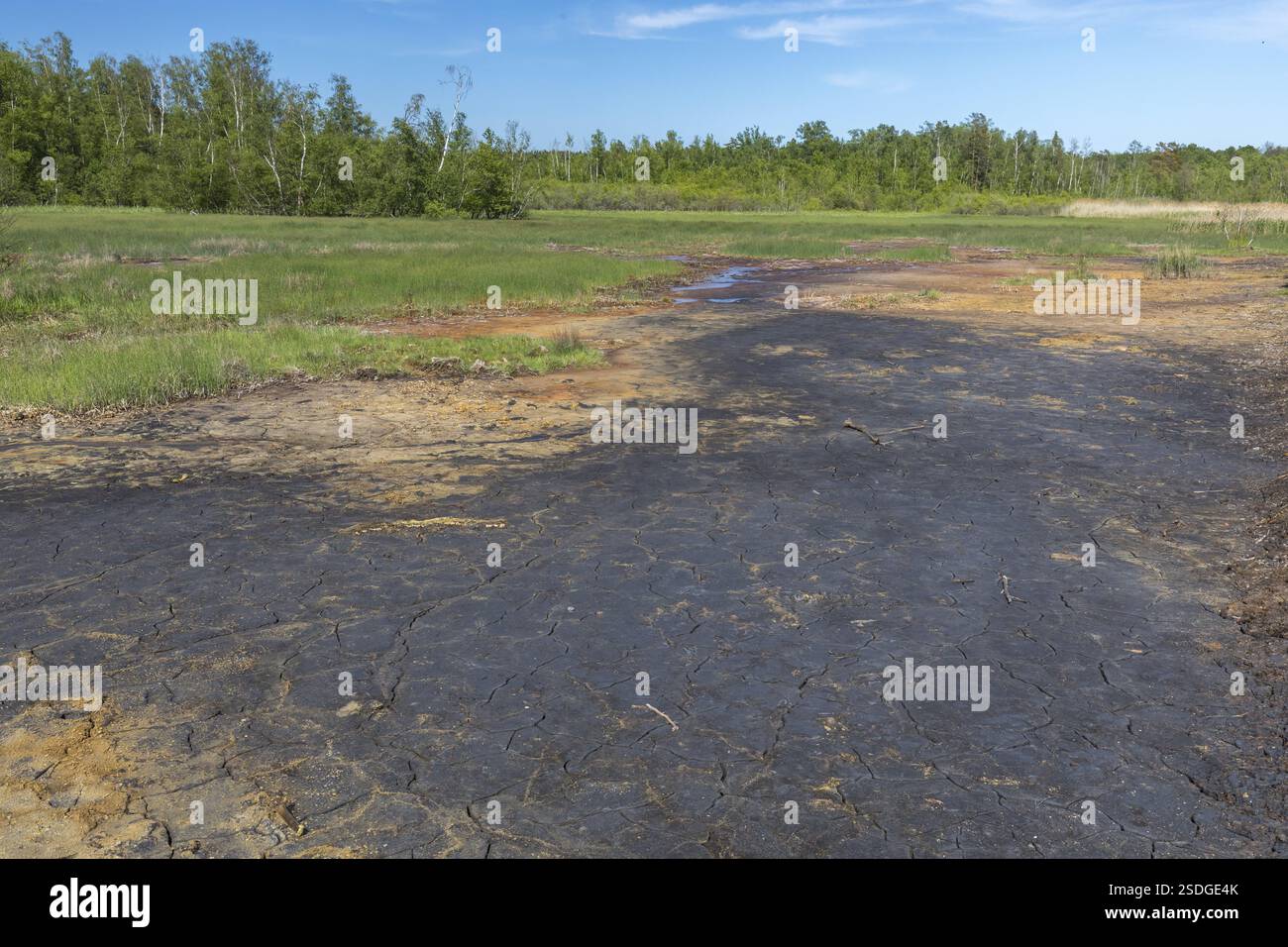 Volcanic active area with mofette. Geological park Soos, Soos National ...
