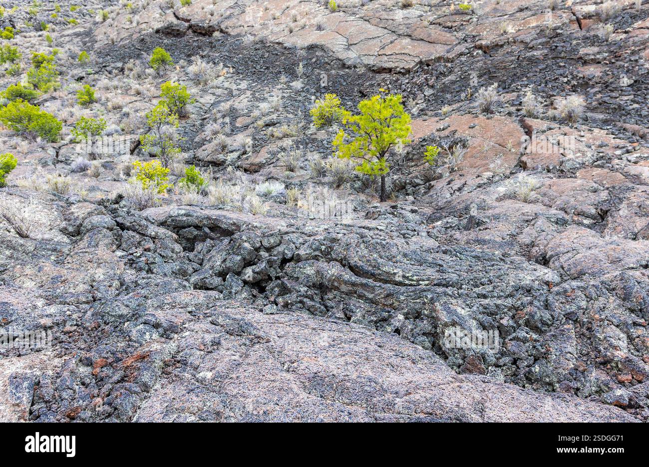 Hiking Lava Falls Trail at El Malpais National Monument in Grants New ...