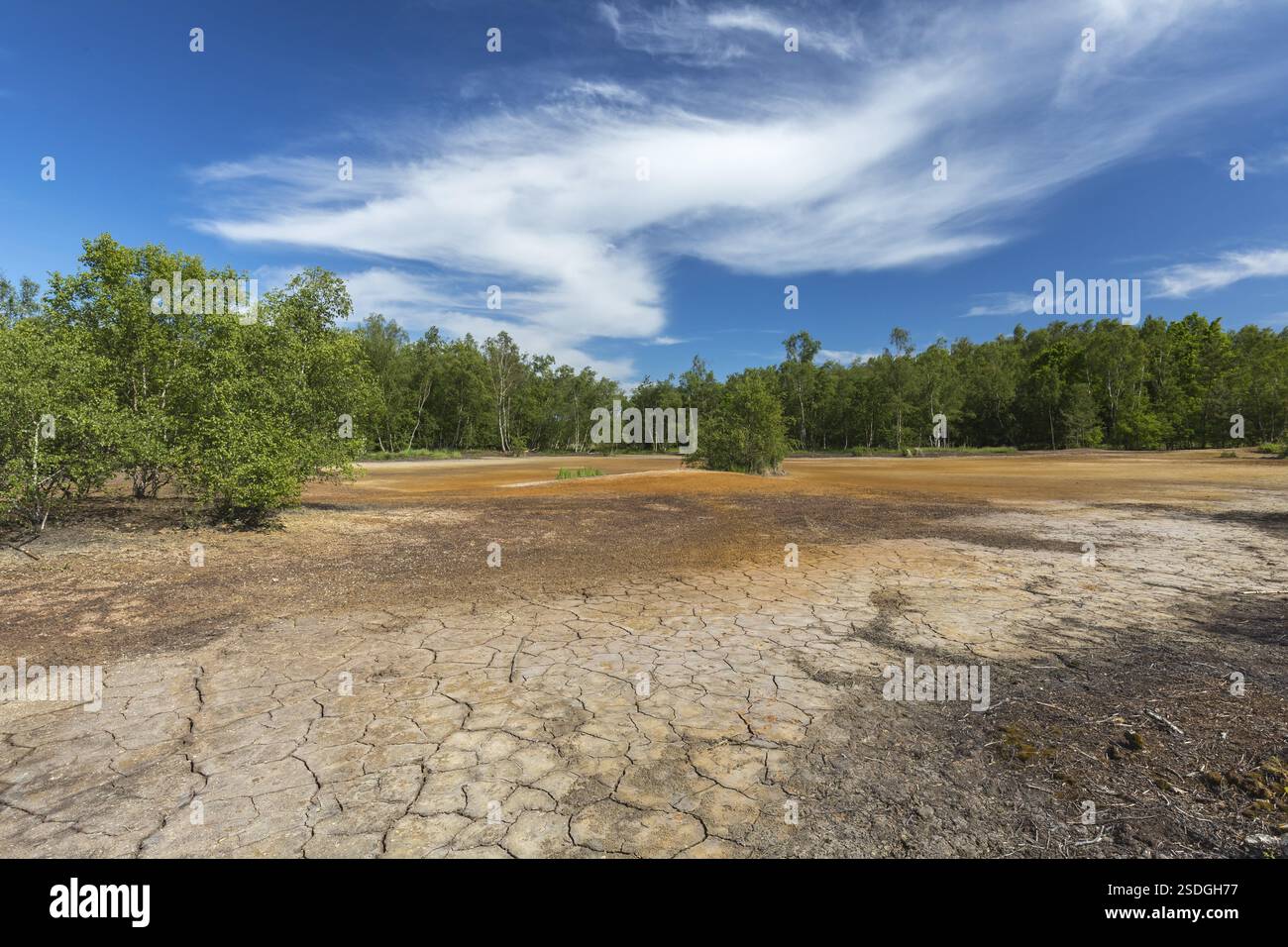 Volcanic active area with mofette. Geological park Soos, Soos National ...