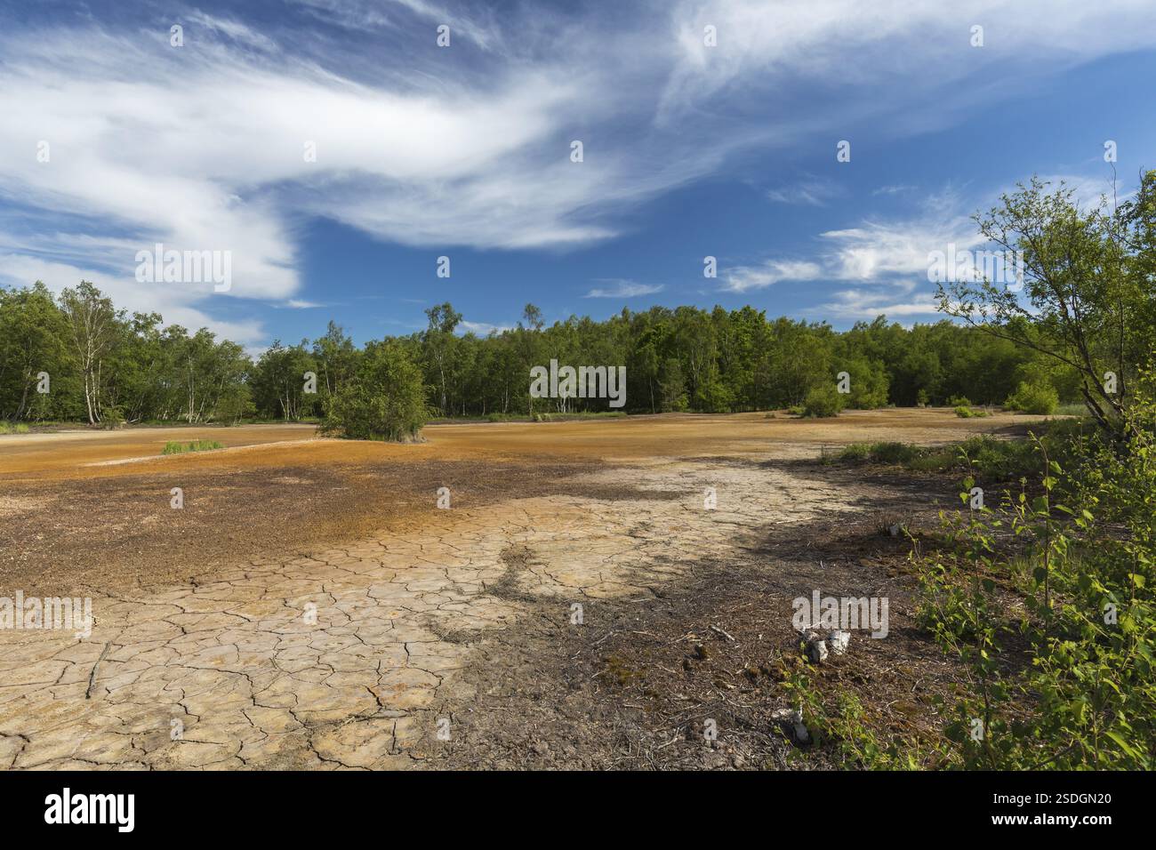Volcanic active area with mofette. Geological park Soos, Soos National ...