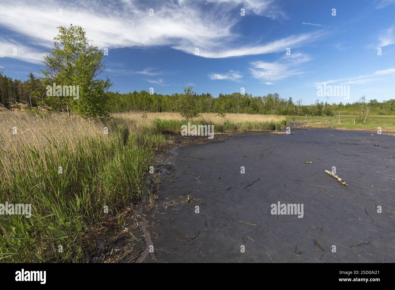 Volcanic active area with mofette. Geological park Soos, Soos National ...