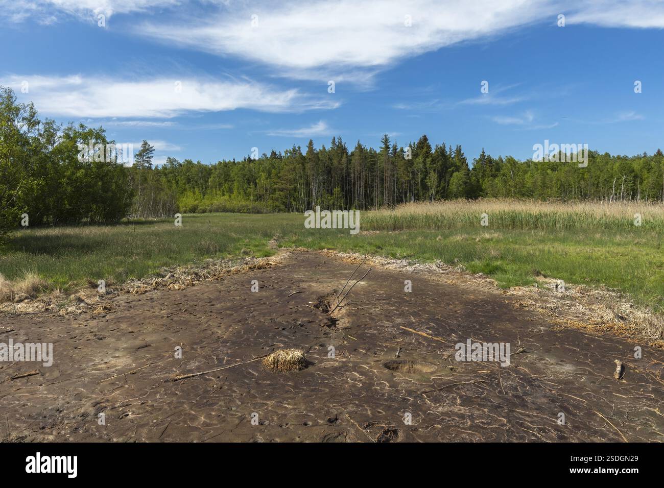 Volcanic active area with mofette. Geological park Soos, Soos National ...
