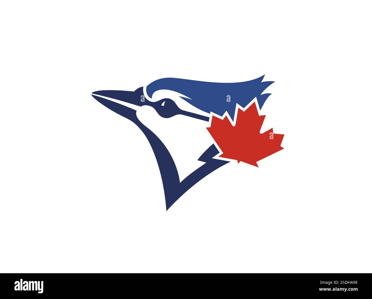Turned to the right, Bluefield Blue Jays Logo, Baseball, Logo Stock ...