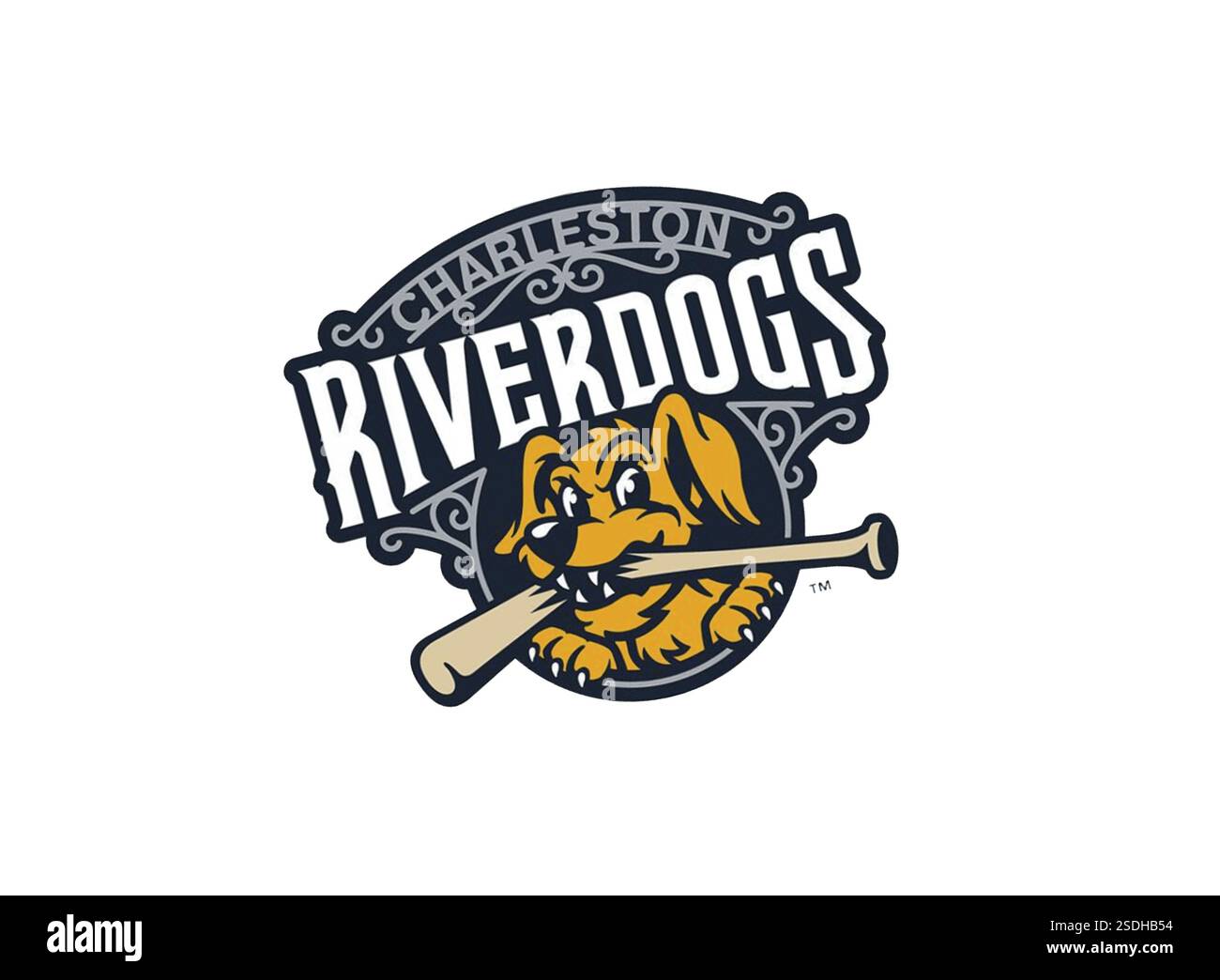 Rotated to left, Charleston RiverDogs logo, Baseball, Logo Stock Photo ...