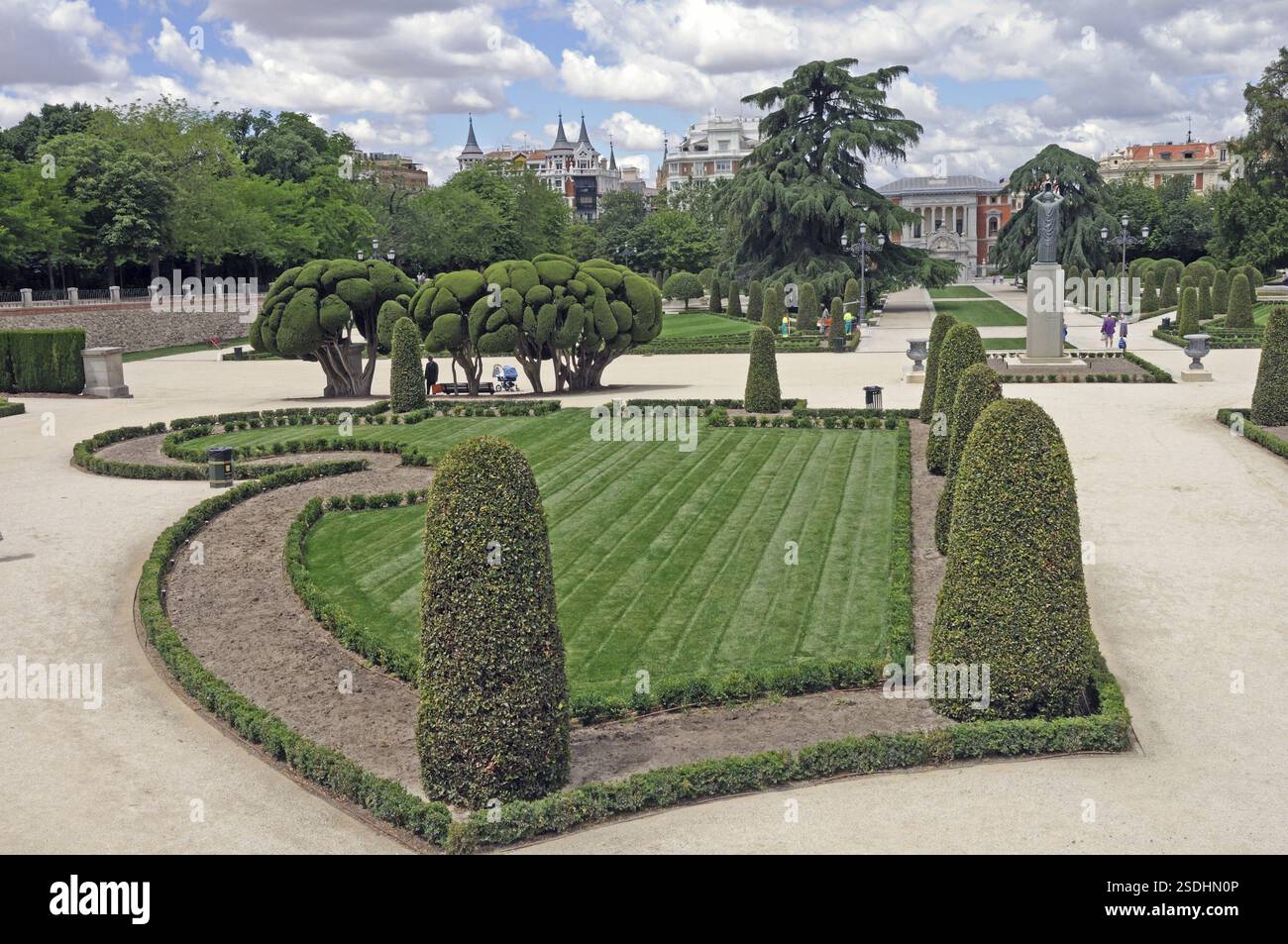 Spain, Madrid, park, cypress trees, Europe Stock Photo - Alamy