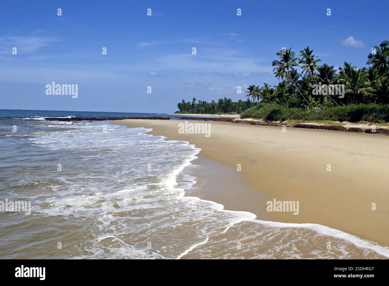 Surf waves on beach, Village Bhogwe, Konkan, District Sindhudurga ...