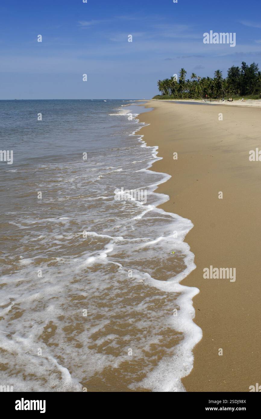 Surf waves on beach, Village Bhogwe, Konkan, District Sindhudurga ...