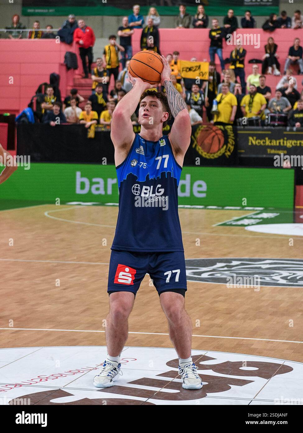 Anzac Joseph Dennis Rissetto (Eisbaeren Bremerhaven #77), Tigers ...