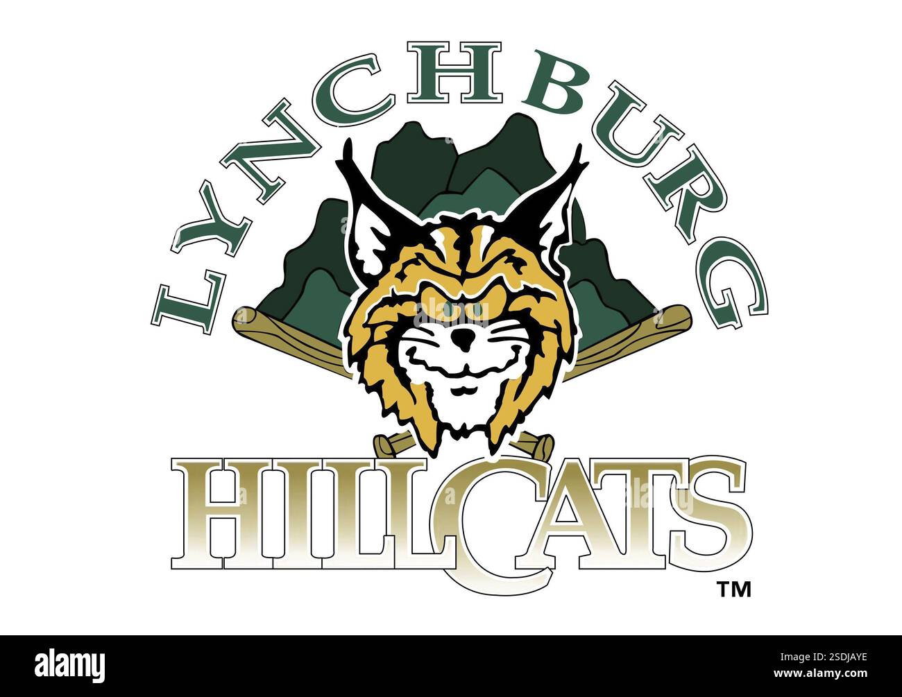 Lynchburg Hillcats Logo 1995, Baseball, Old Logo from 1995 Stock Photo ...