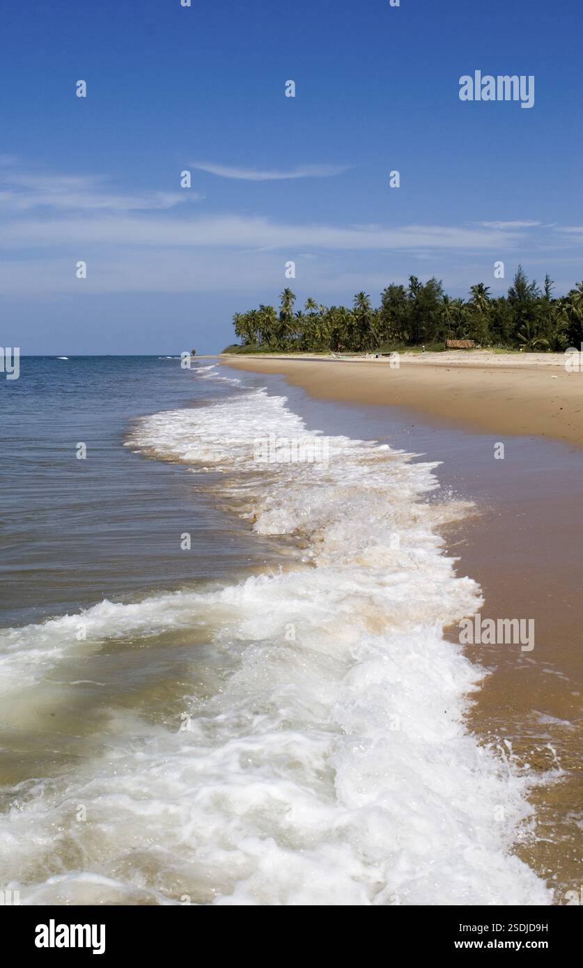 Surf waves on beach, Village Bhogwe, Konkan, District Sindhudurga ...